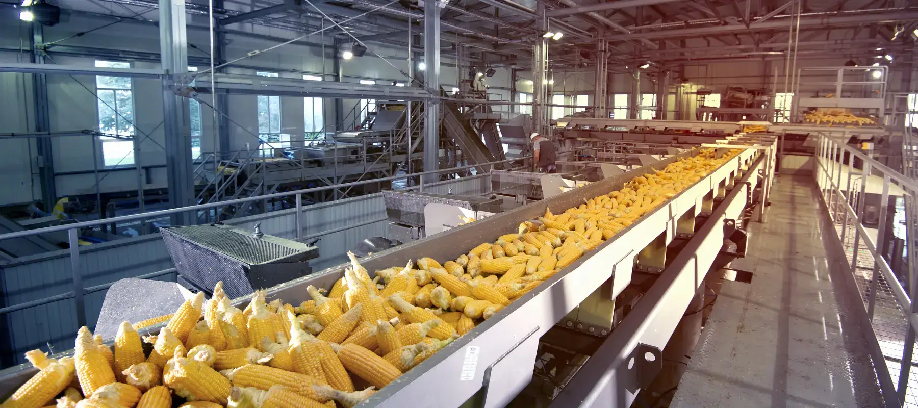 FDA-Compliant Cleaning for Food & Beverage Facilities - Warehouse ...